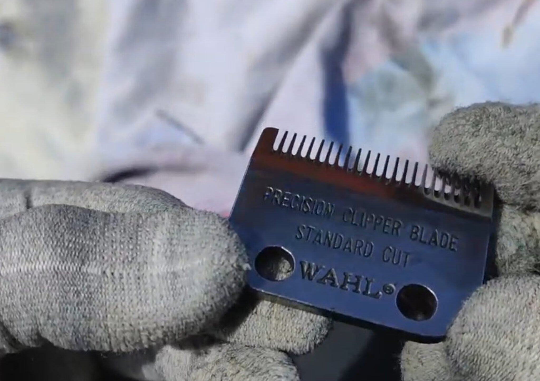 How To Keep Clippers From Rusting - (Prevent Rust INSTANTLY)