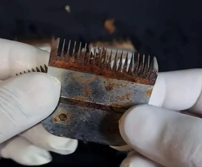 Why Do Hair Clipper Rust?- (Expert Tips and Tricks)