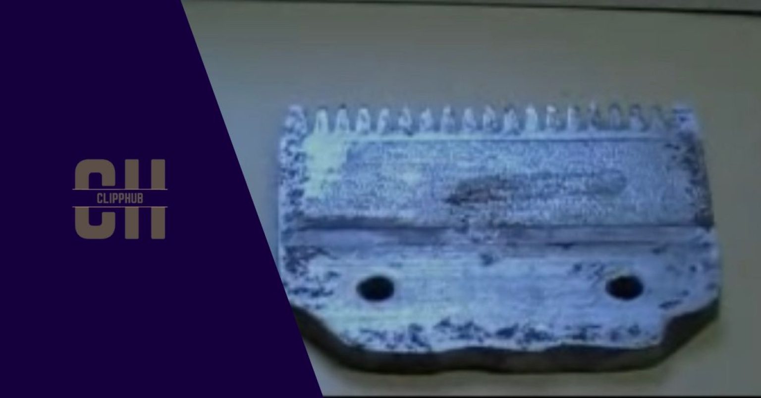 How to Sharpen Clipper Blades With a Stone(Goodbye Dull Blades)