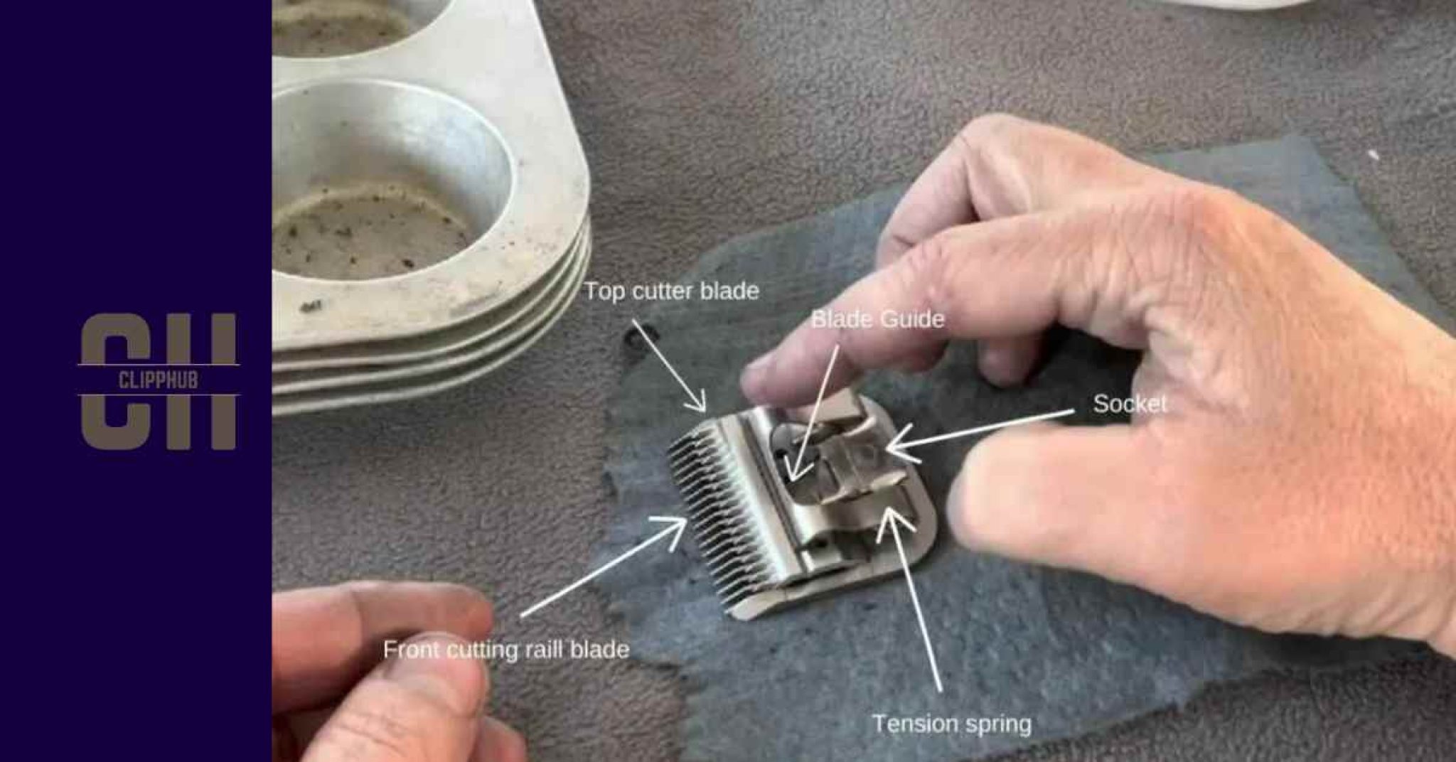 How To Sharpen Dog Clipper Blades - (The Ultimate Guide)