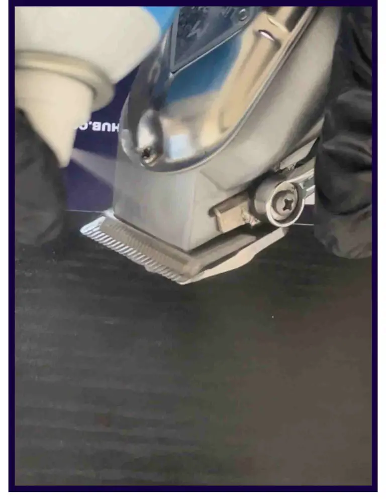 Clean Clippers With Alcohol - (Don't Gamble Your Health)