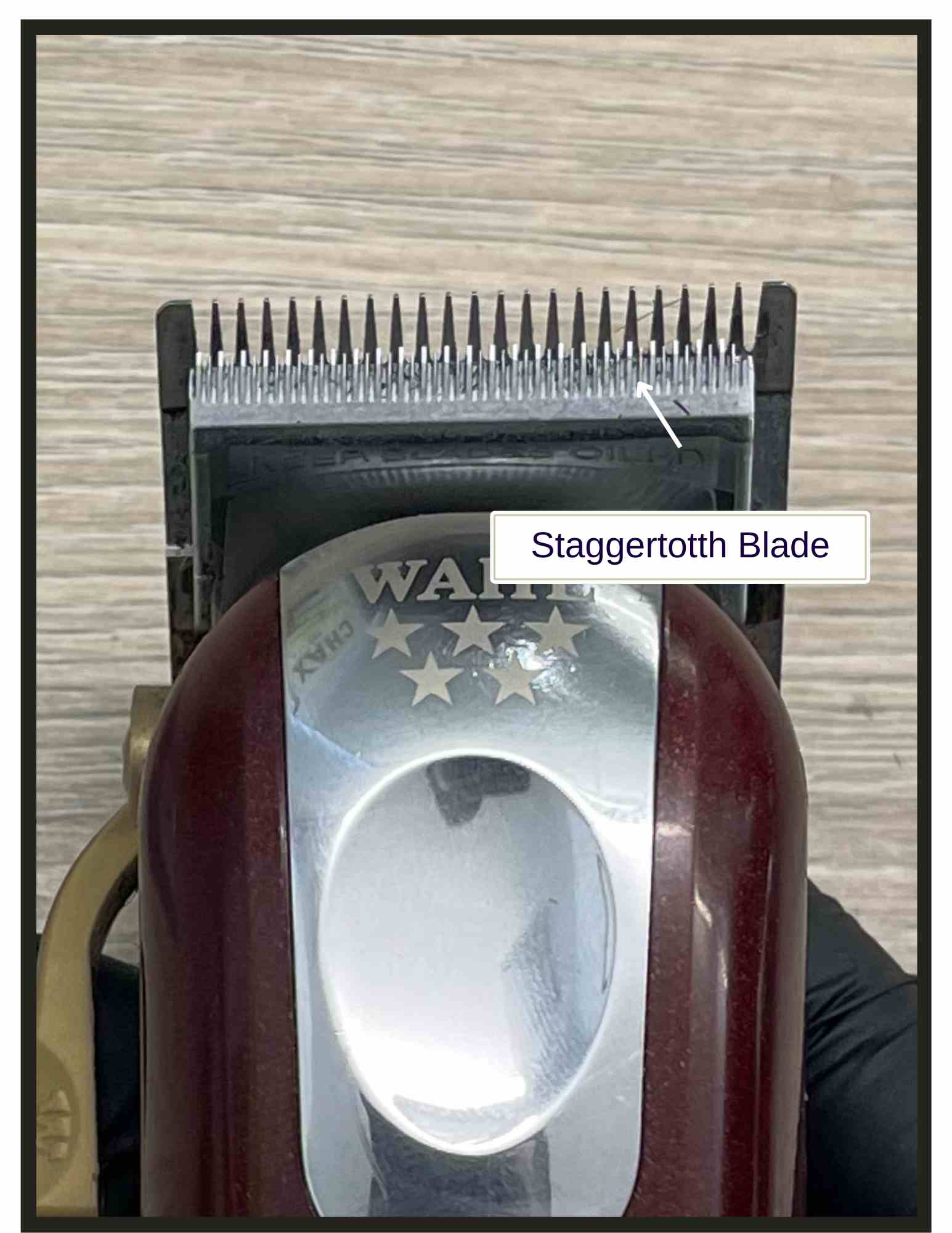 Wahl Senior vs Magic Clip: ( The Ultimate 5 Star Series Battle)